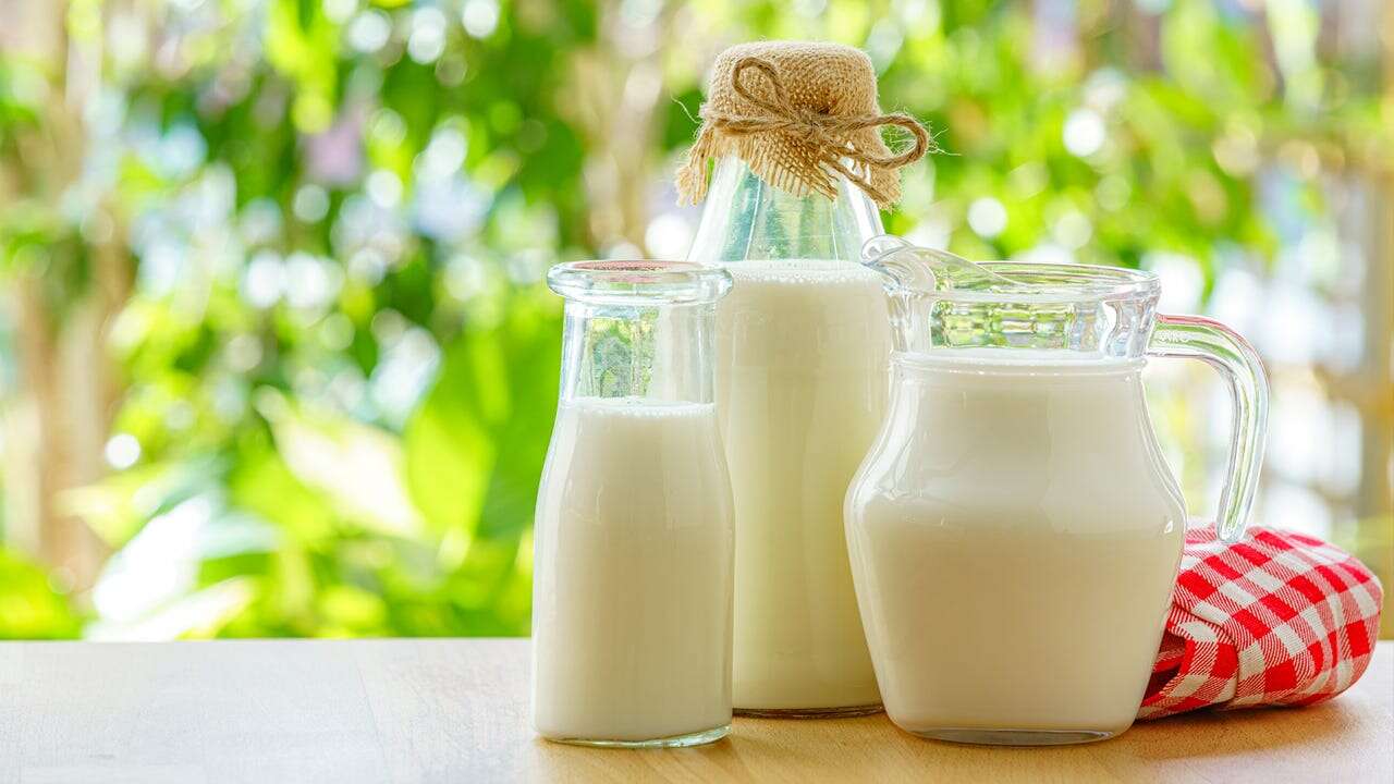 Full Fat vs Low Fat Milk Which One Suits Your Body and Lifestyle - The ...