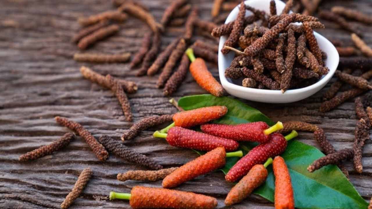 Pippali Returns to Spotlight as Ayurveda’s Quiet King of Spices - The ...