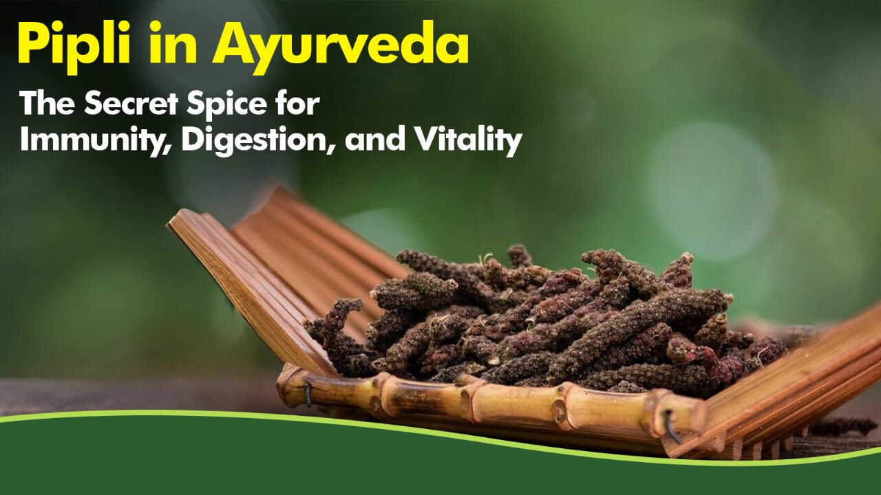 Pippali spice brings powerful traditional health benefits for immunity ...